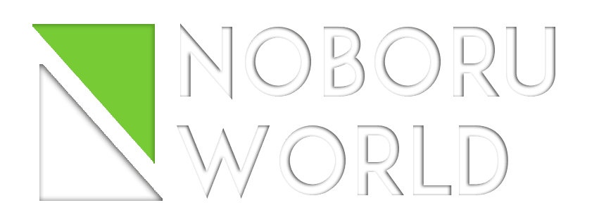 Best digital marketing agency in India & USA | Noboru World